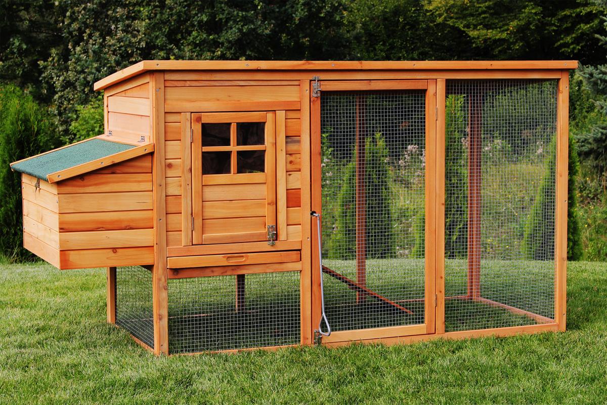 Poulailler, clapier, petit prix,